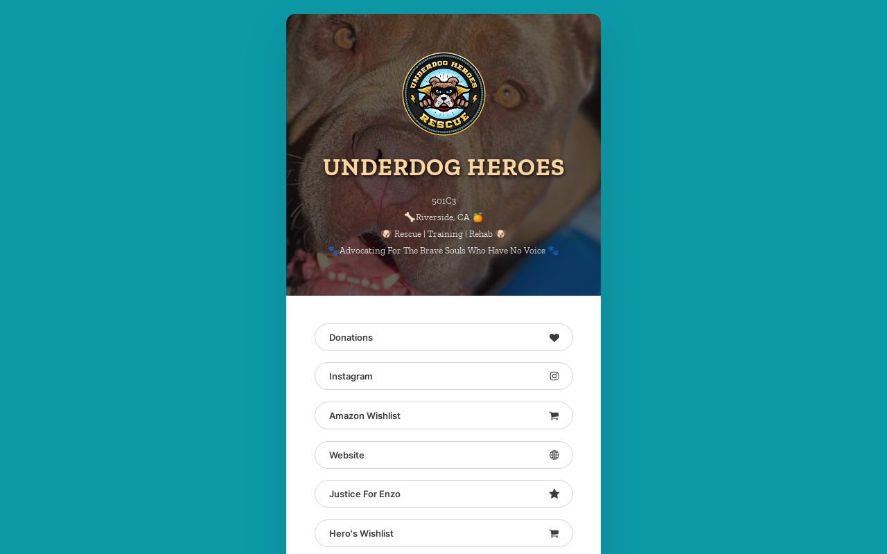Underdog Heroes Rescue